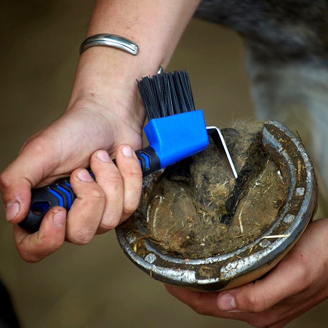 Red Gorilla Hoof Pick Assorted Colours – Horse & Rider Equestrian Retailer